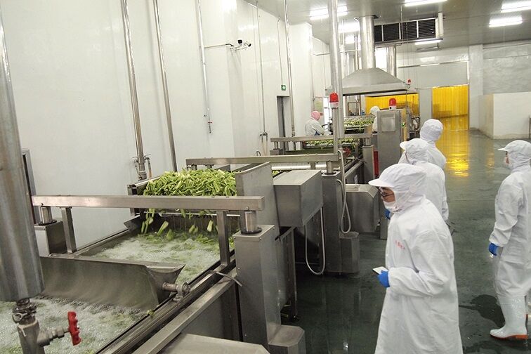 China IQF Frozen vegetables fruits supplier factory manufacturer ...